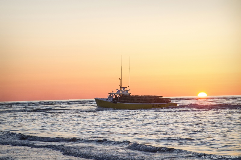 Provincial Boat and Marine – View the Latest Boats for Sale from ...