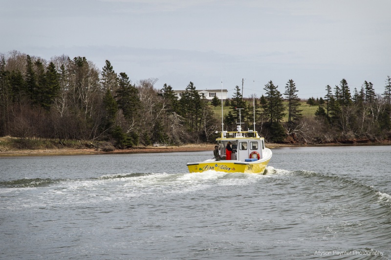 Provincial Boat and Marine – View the Latest Boats for Sale from ...