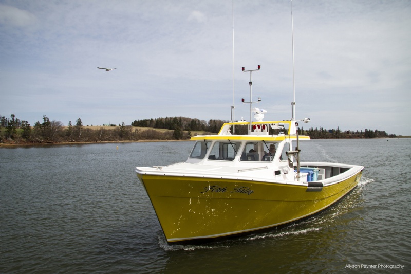 Provincial Boat and Marine – View the Latest Boats for Sale from ...