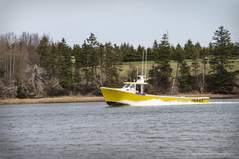 Provincial Boat and Marine – View the Latest Boats for Sale from ...