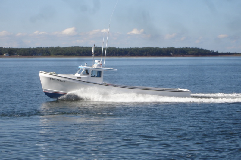 Provincial Boat and Marine – View the Latest Boats for Sale from ...
