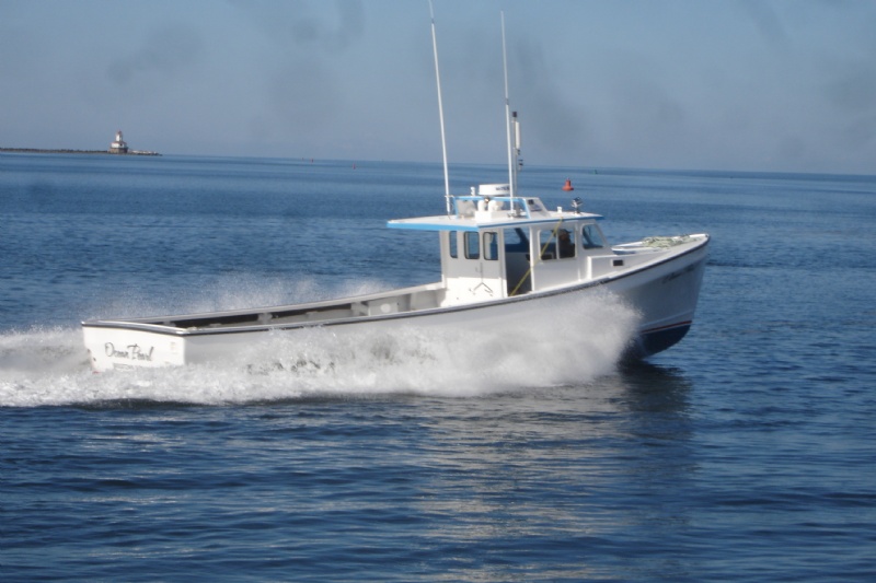 Provincial Boat and Marine – View the Latest Boats for Sale from ...